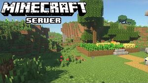 Minecraft:Server 1 – Tobinator-Wiki